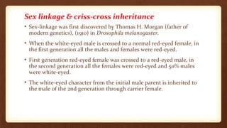 Criss cross inheritance | PPT