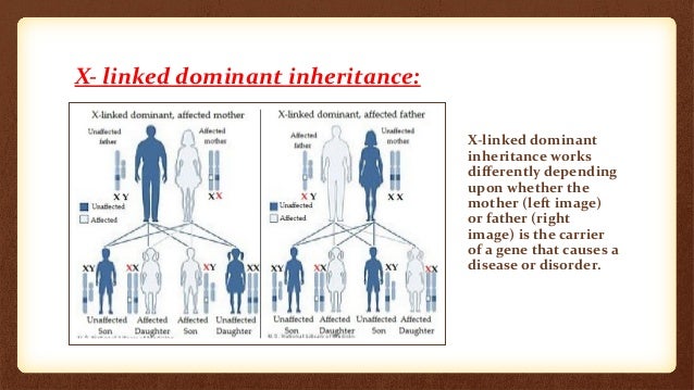 Criss cross inheritance