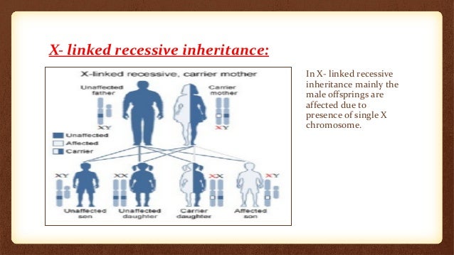 Criss cross inheritance