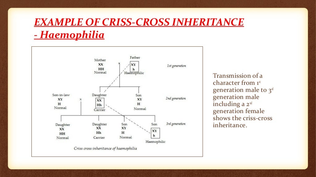 Criss Cross Inheritance criss-cross-inheritance