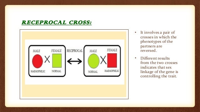 Criss cross inheritance
