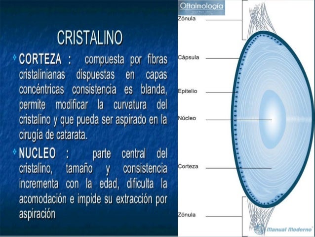 Cristalino