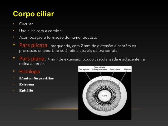 Cristalino Úvea - Catarata e Uveíte