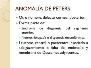 Cristalino anatomia y fisiologia | PDF