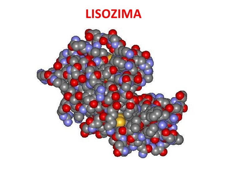 Cristalli di proteine