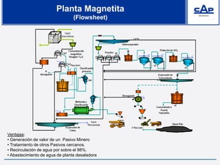 Plantas concentradoras, descripción completa | PDF
