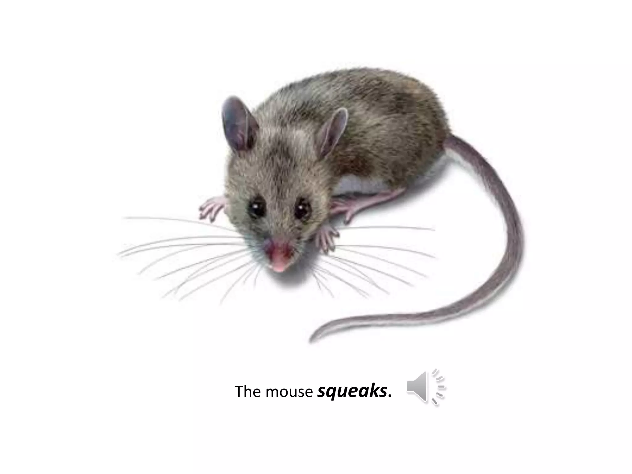 Cristina Brocos Tics Ppt Pptx