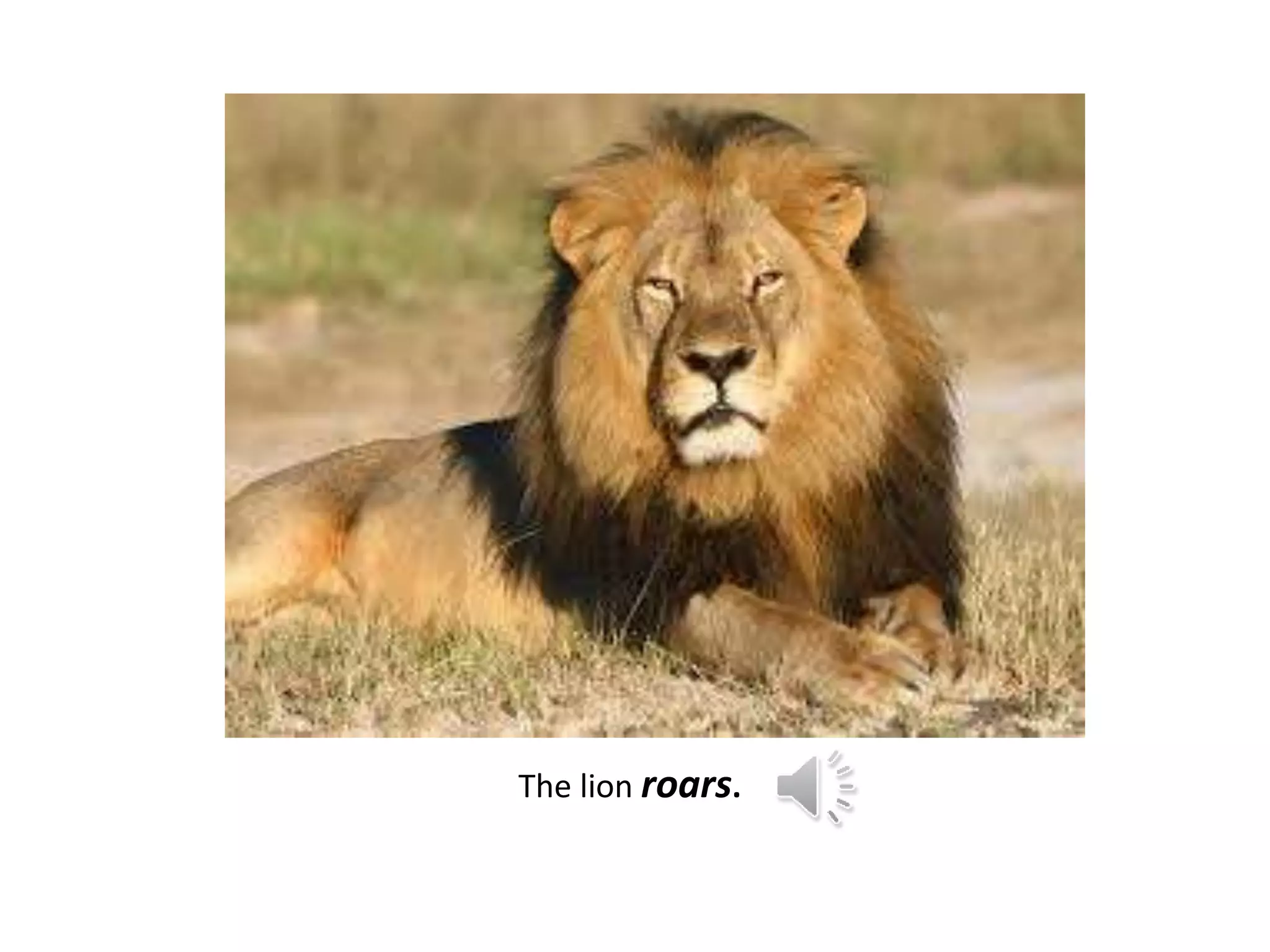 Cristina Brocos Tics Ppt Pptx