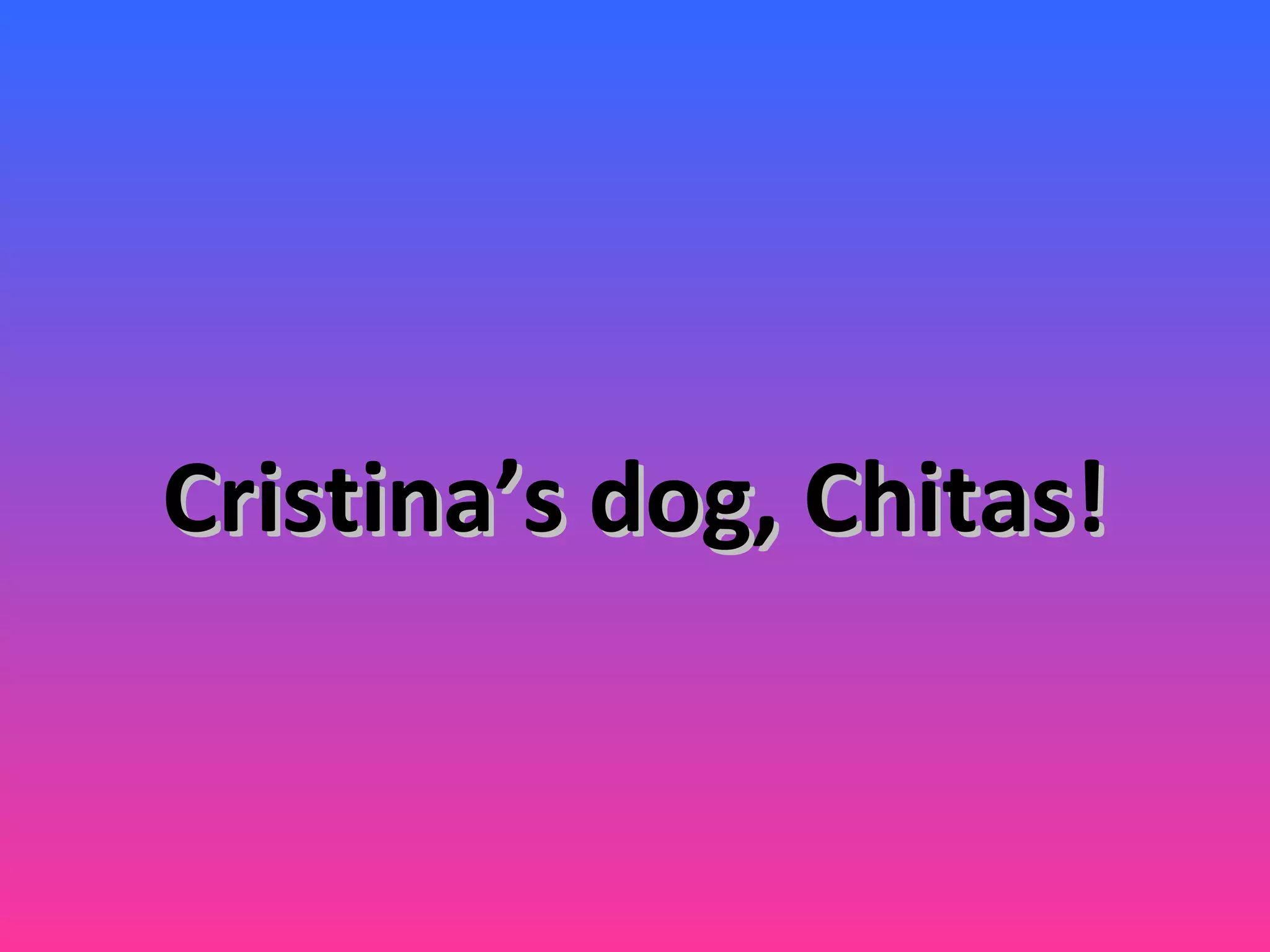 Cristina’S Dog, Chitas! | PPT