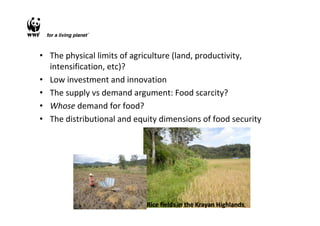 Food sovereignty for food security: how protecting traditional ...