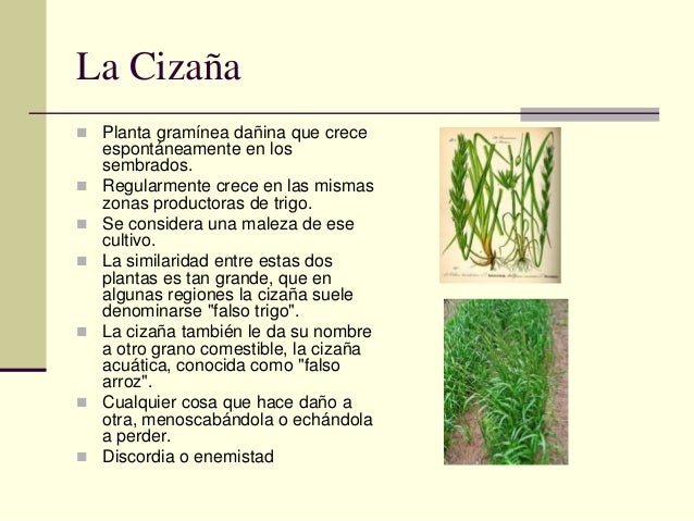 Cristologia leccion3