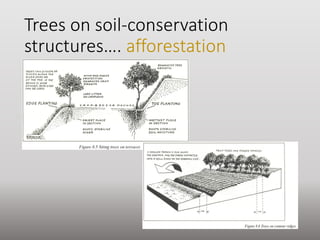 Criteria 3 : Soil Conservation | PDF | Gardening | Home & Garden