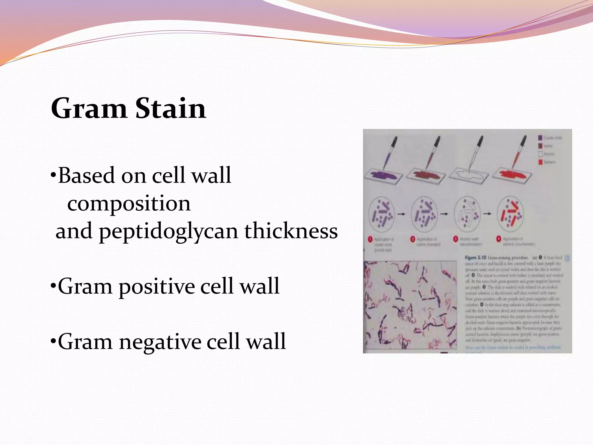 Criteria for classification of microbes | PPTX