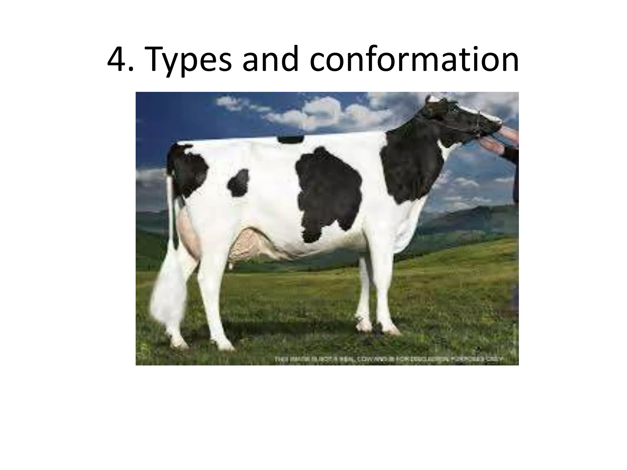 Criteria for selection of a good replacement breeder stock | PPTX