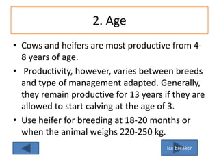 Criteria for selection of a good replacement breeder stock | PPTX