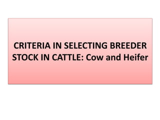 Criteria for selection of a good replacement breeder stock | PPTX
