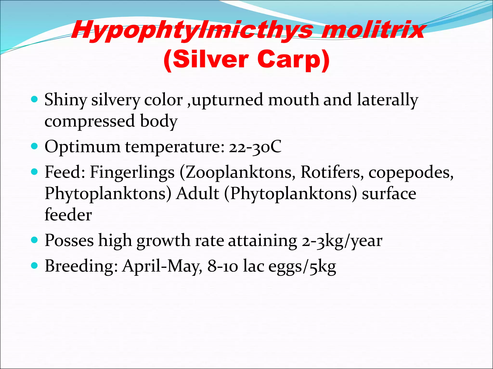 Criteria for selection of fish species.ppt