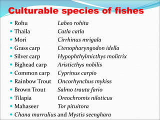 Criteria for selection of fish species.ppt