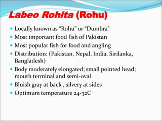 Criteria for selection of fish species.ppt