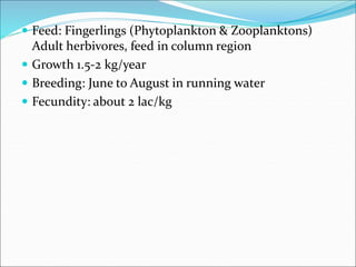 Criteria for selection of fish species.ppt