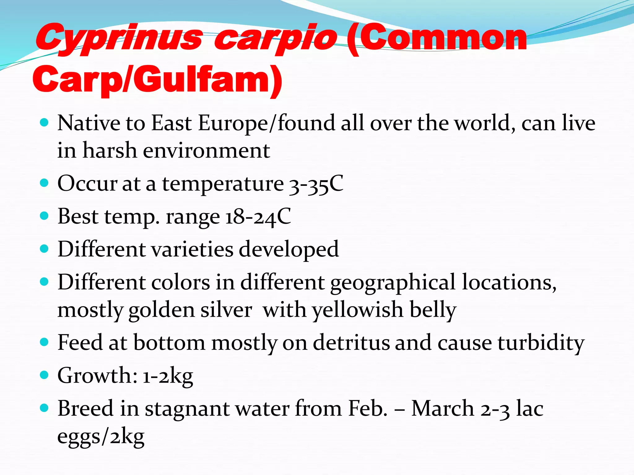 Criteria for selection of fish species.ppt