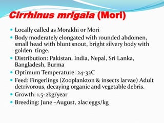 Criteria for selection of fish species.ppt