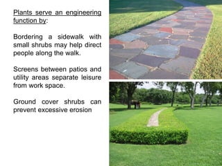 Criteria for selection of plant material.pptx