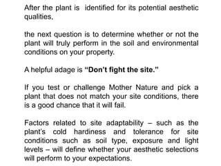 Criteria for selection of plant material.pptx