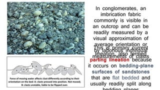 Criteria used in the description and definition of crossbedding types ...
