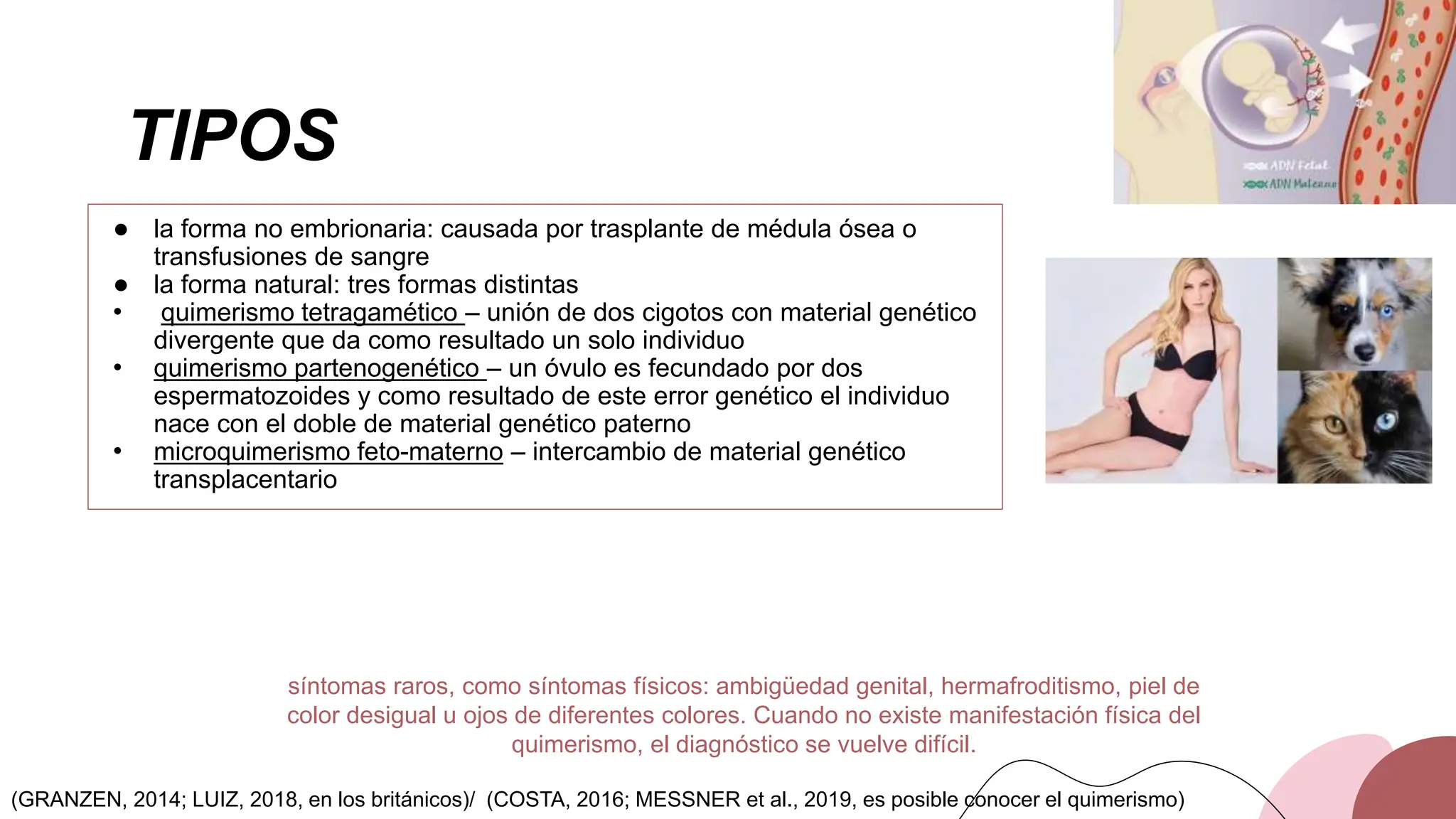 Criterios Actuales De Quimerismo Expo Pptx
