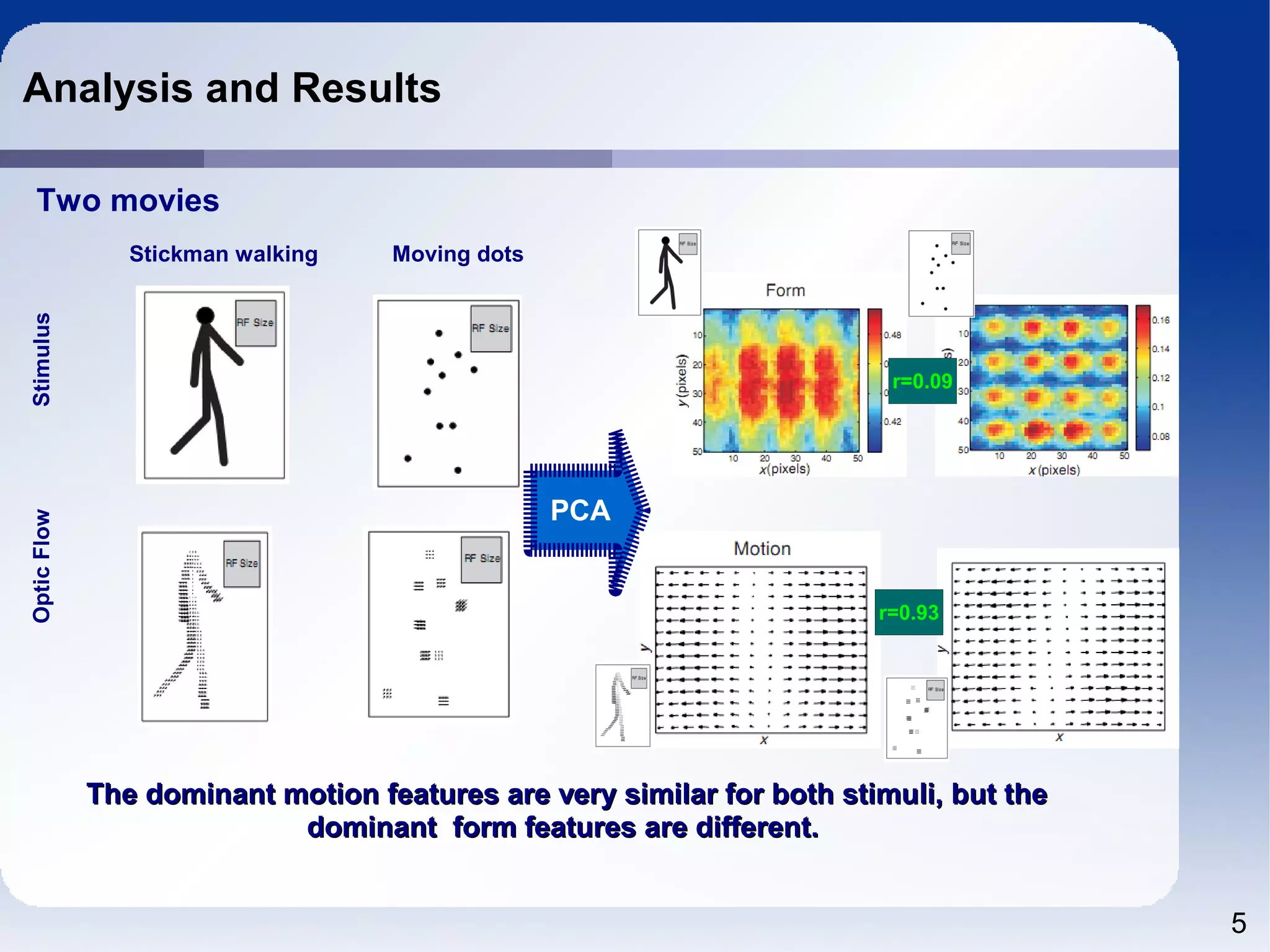 Critical Features for Recognition of Biological Motion | PPT