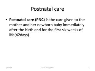 Critical Appraisal on Post Natal Care (PNC) | PDF