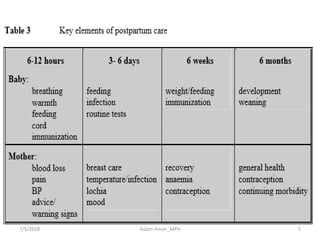 Critical Appraisal on Post Natal Care (PNC) | PDF