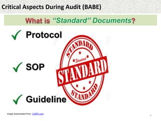 Critical aspects during audit (BA/BE) | PPTX
