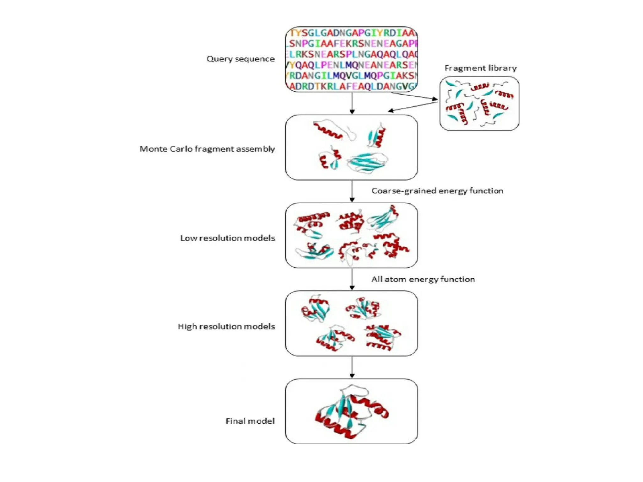 Critical Assessment of Structure Prediction.pptx
