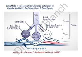 The best definition of ARDS | PDF