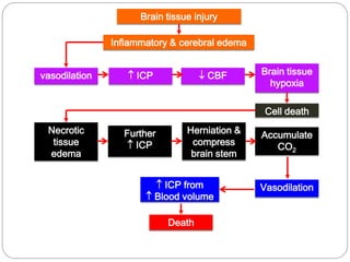 Critical care to head injured patient | PDF