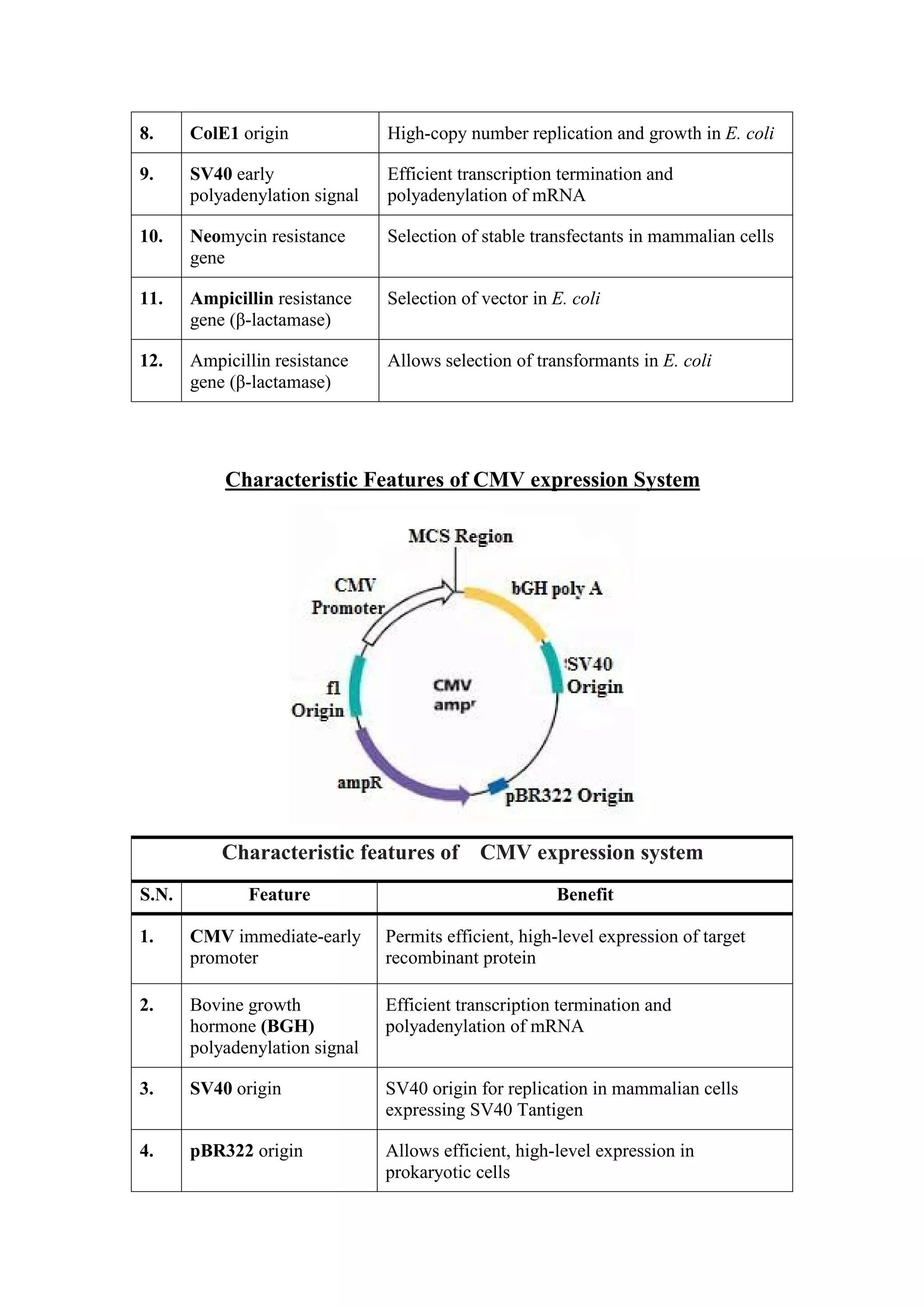 Critical components of p et,pcdna and cmv expression vectors | PDF