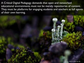 If Freire Made a MOOC: Open Education and Critical Digital Pedagogy | PDF