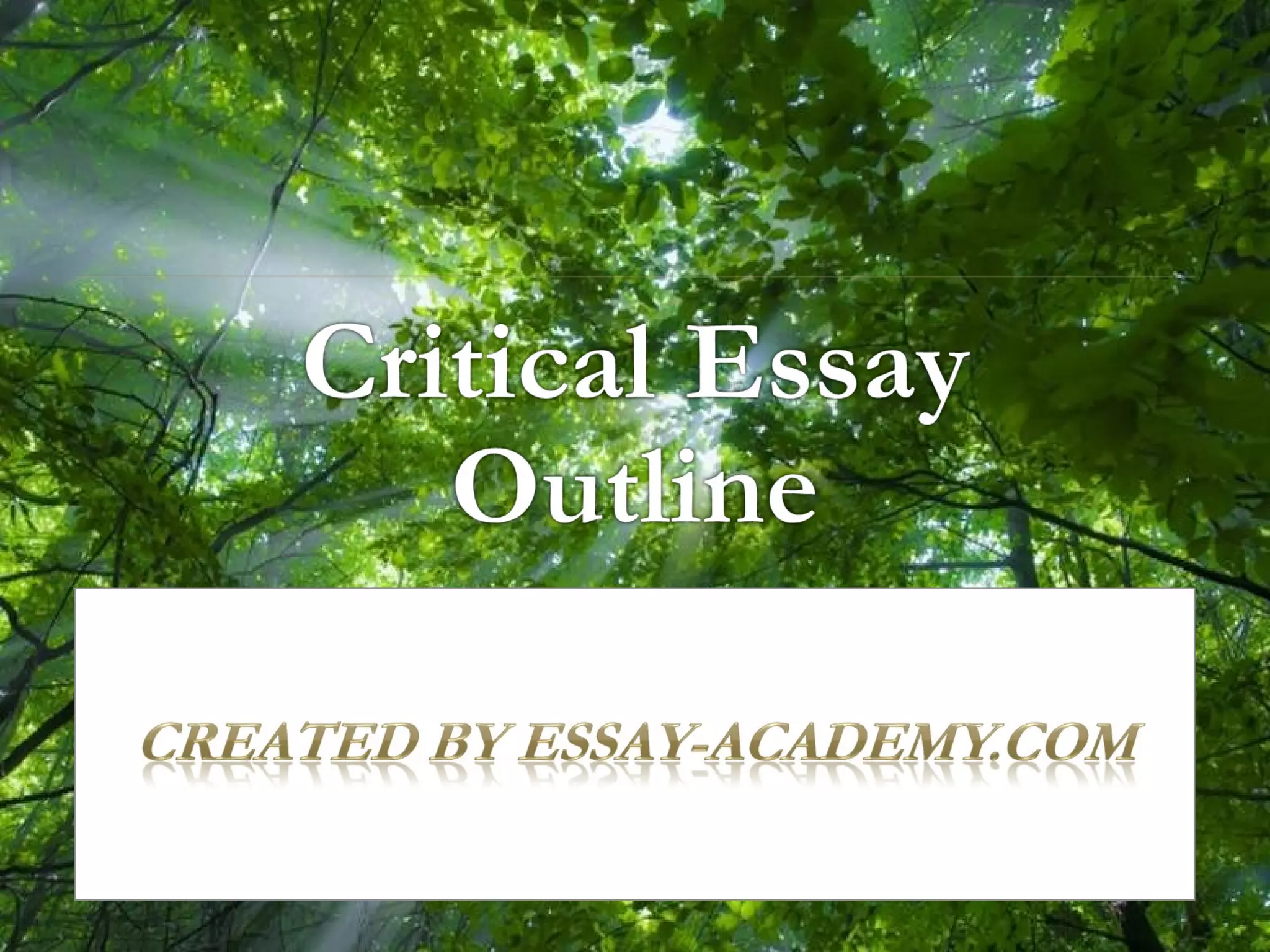 Critical essay outline | PPT