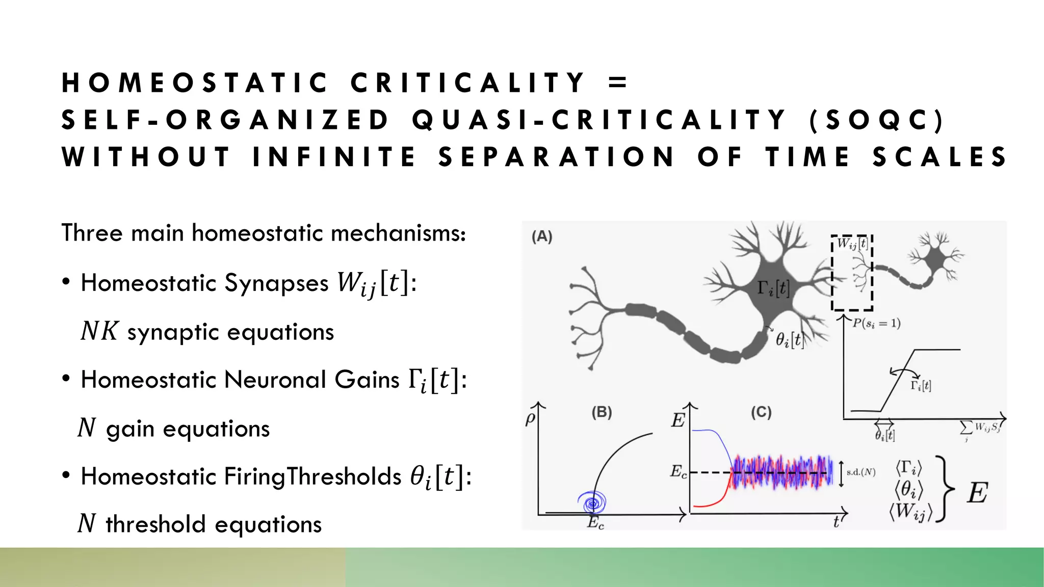 Homeostatic criticality in stochastic integrate- and-fire neurons | PPT