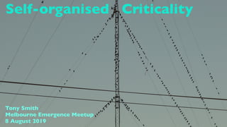 Self-organised Criticality | PDF