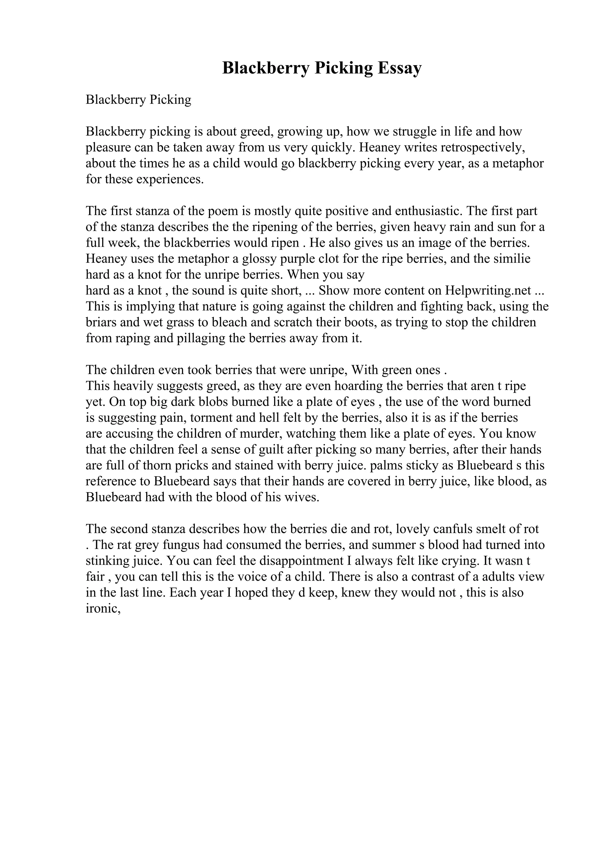 Critical Lens Example Essay | PDF