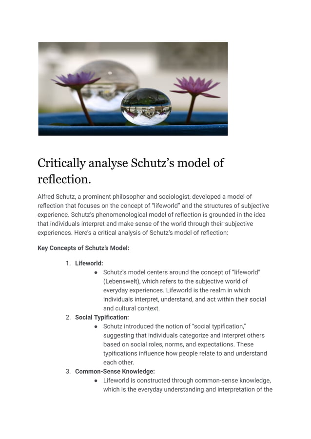 Critically analyse Schutz’s model of reflection..pdf