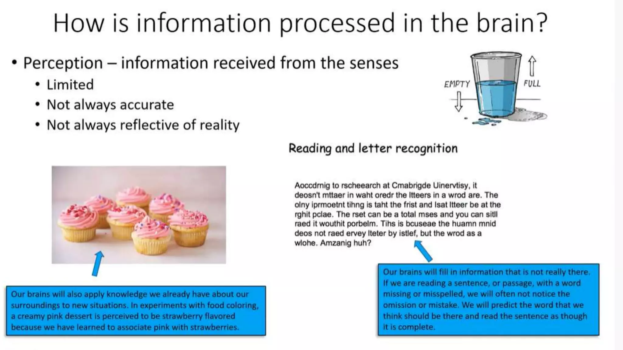 Critical Observation.pptx