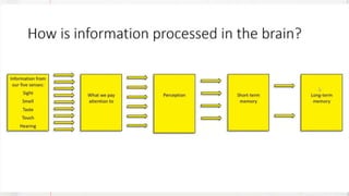 Critical Observation.pptx