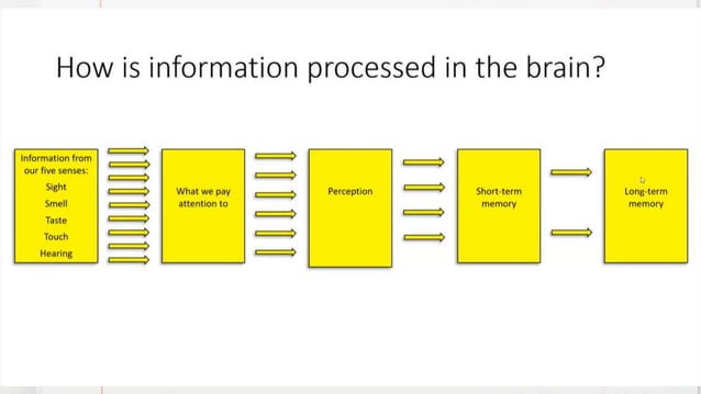 Critical Observation.pptx