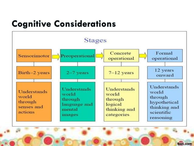 Critical period hypothesis (2) | PPT