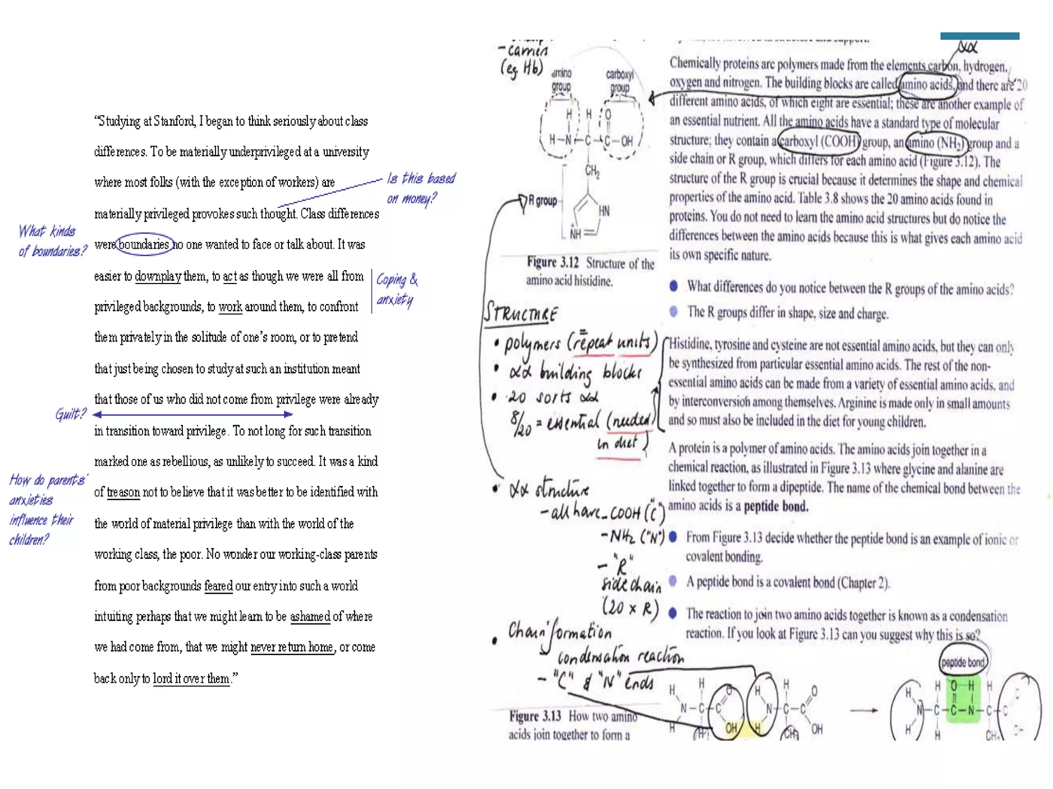 Critical Reading Strategies | PPTX