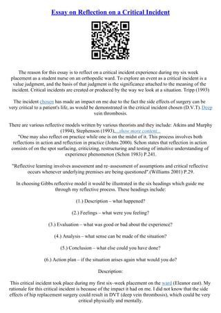 Critical Reflective Essay | PDF